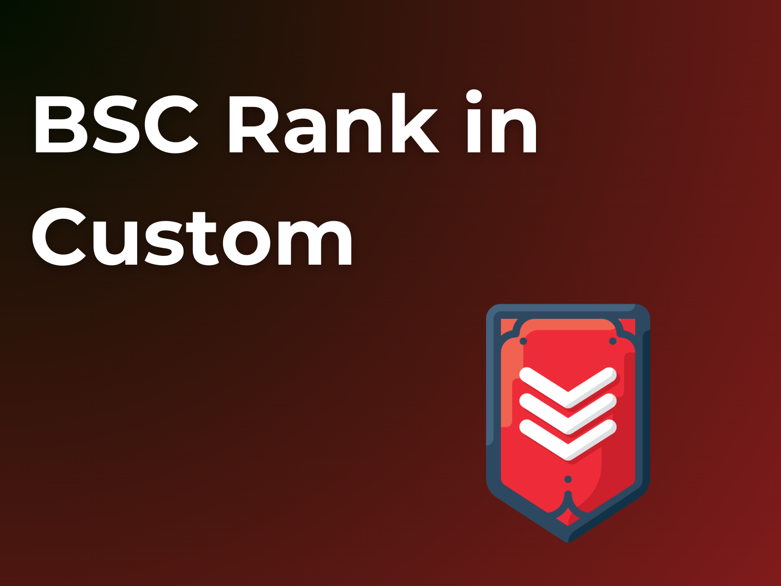 Salary of BSC Rank in Custom in 2025 | InquireSalary