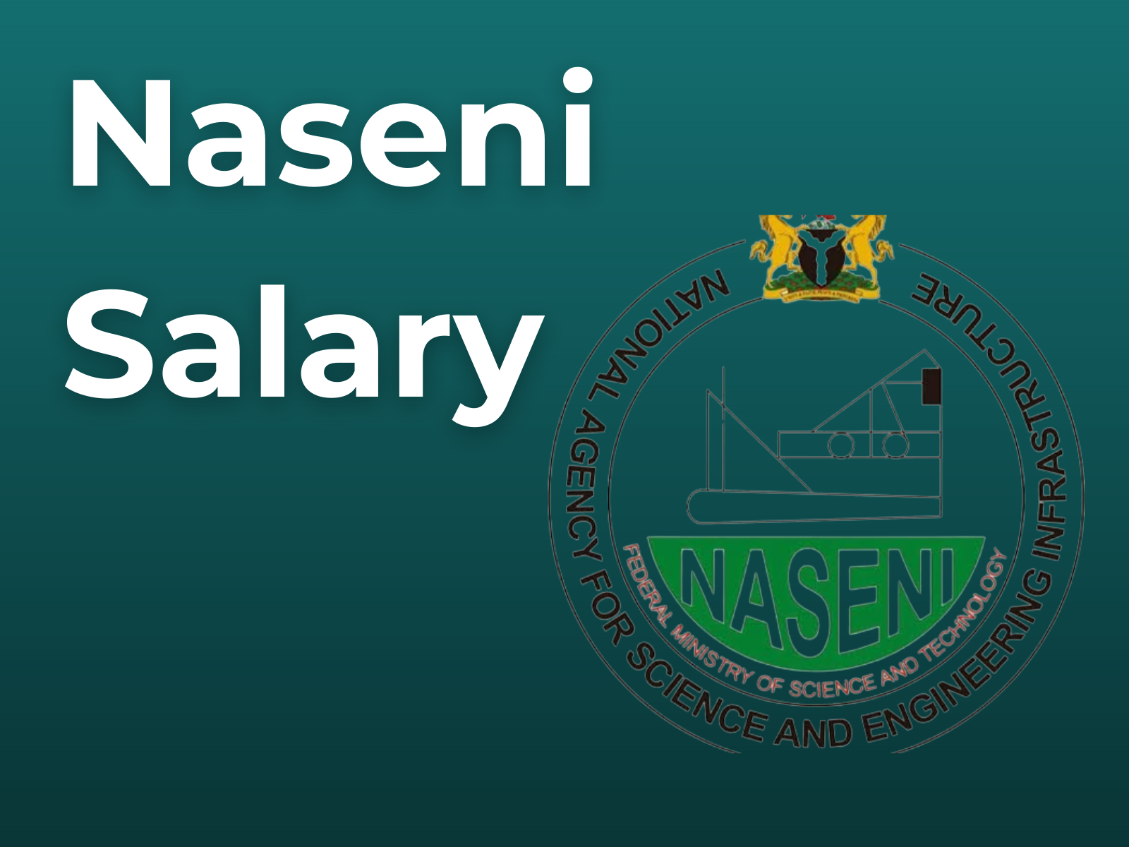 NASENI Salary Structure & Allowances in Nigerian Naira 2025